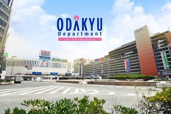 Odakyu launches service to serve Chinese at home | Retail & Leisure ...