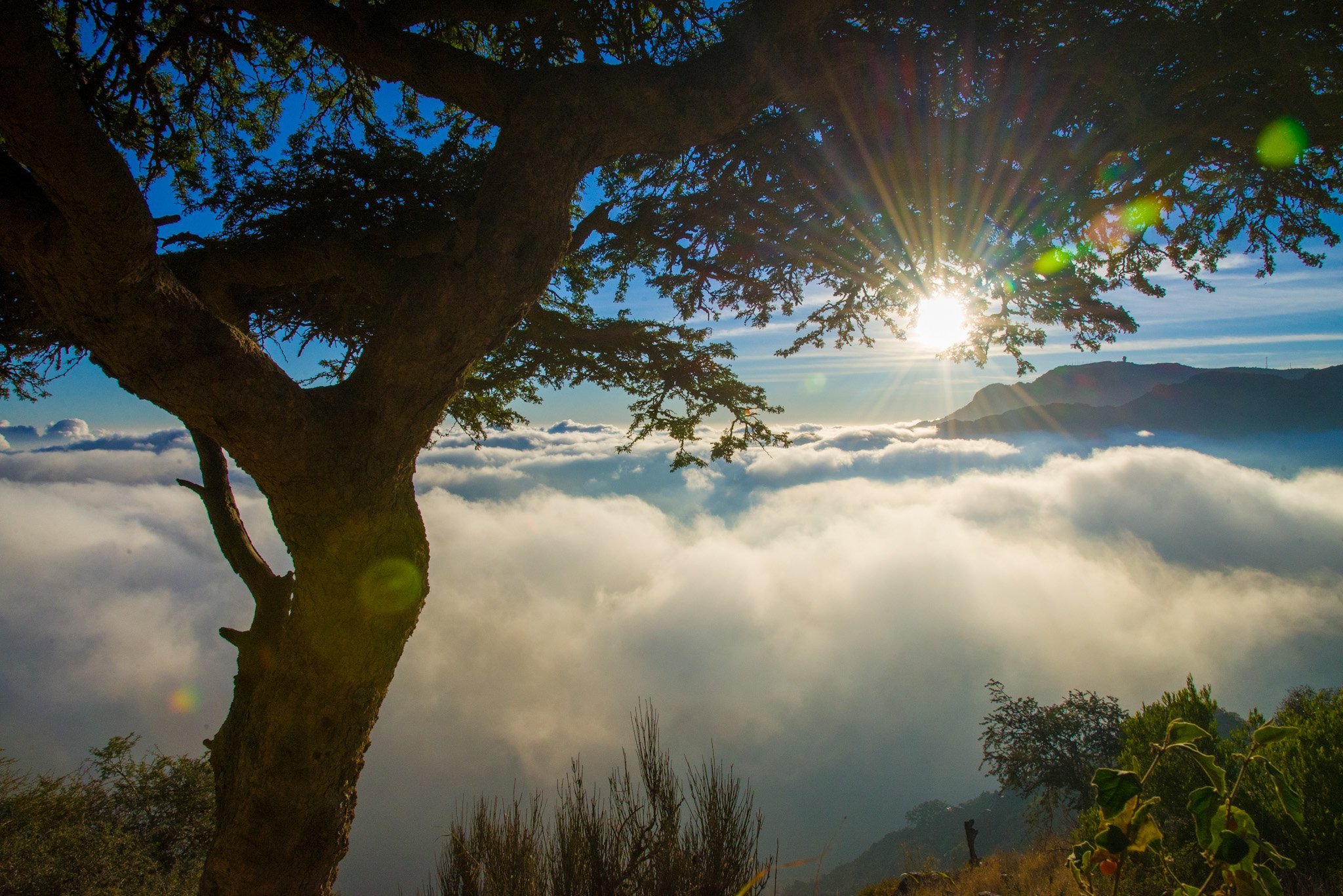 Saudi Wealth Fund Creates Soudah Development Company | Retail & Leisure ...