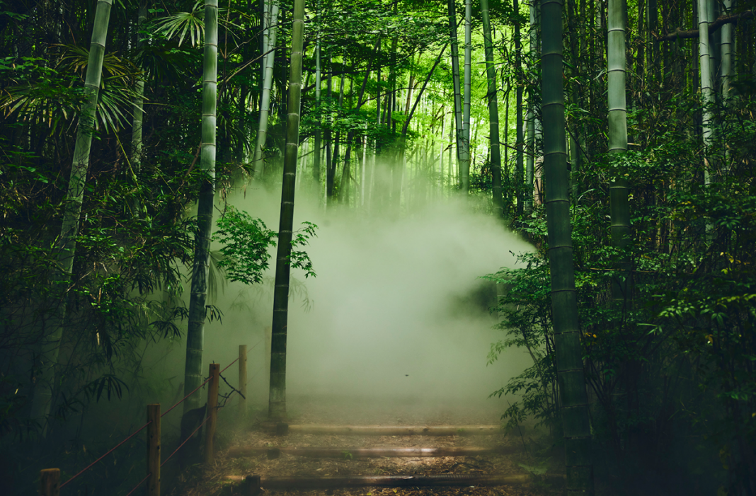 Pokémon Wonder Experience Set to Open at Yomiruiland | Retail & Leisure ...