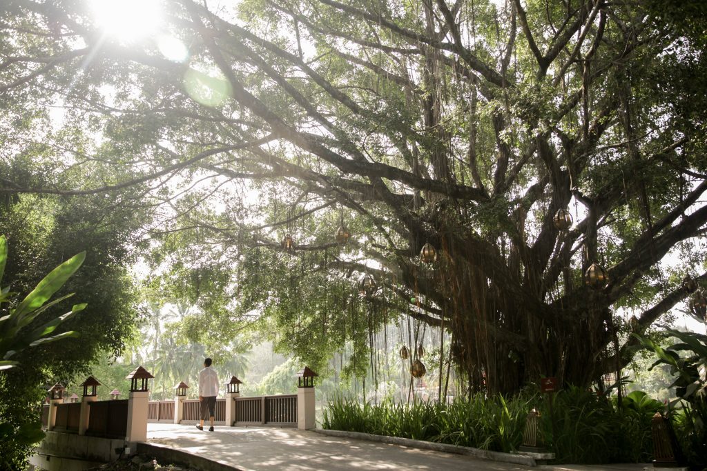 Banyan Tree Group Launch New Site | Retail & Leisure International