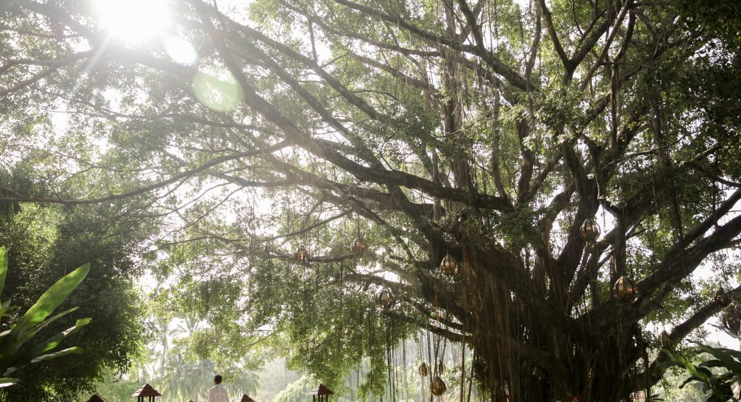 Banyan Tree Group Launch New Site - Retail & Leisure International