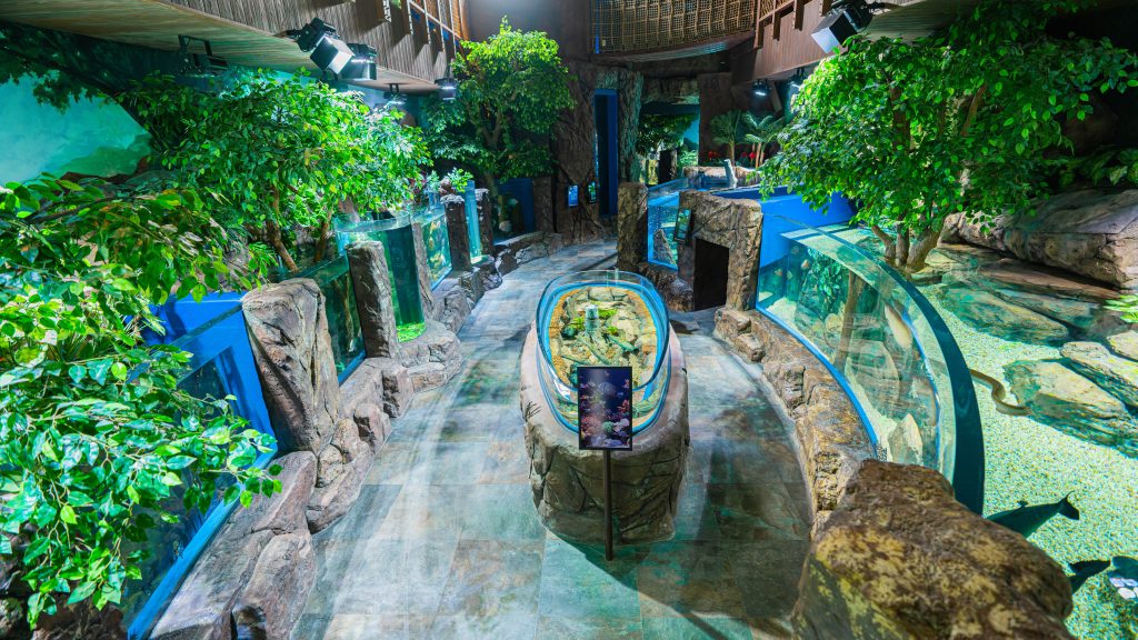 Havelock One Completes Anchor Projects - Retail & Leisure International